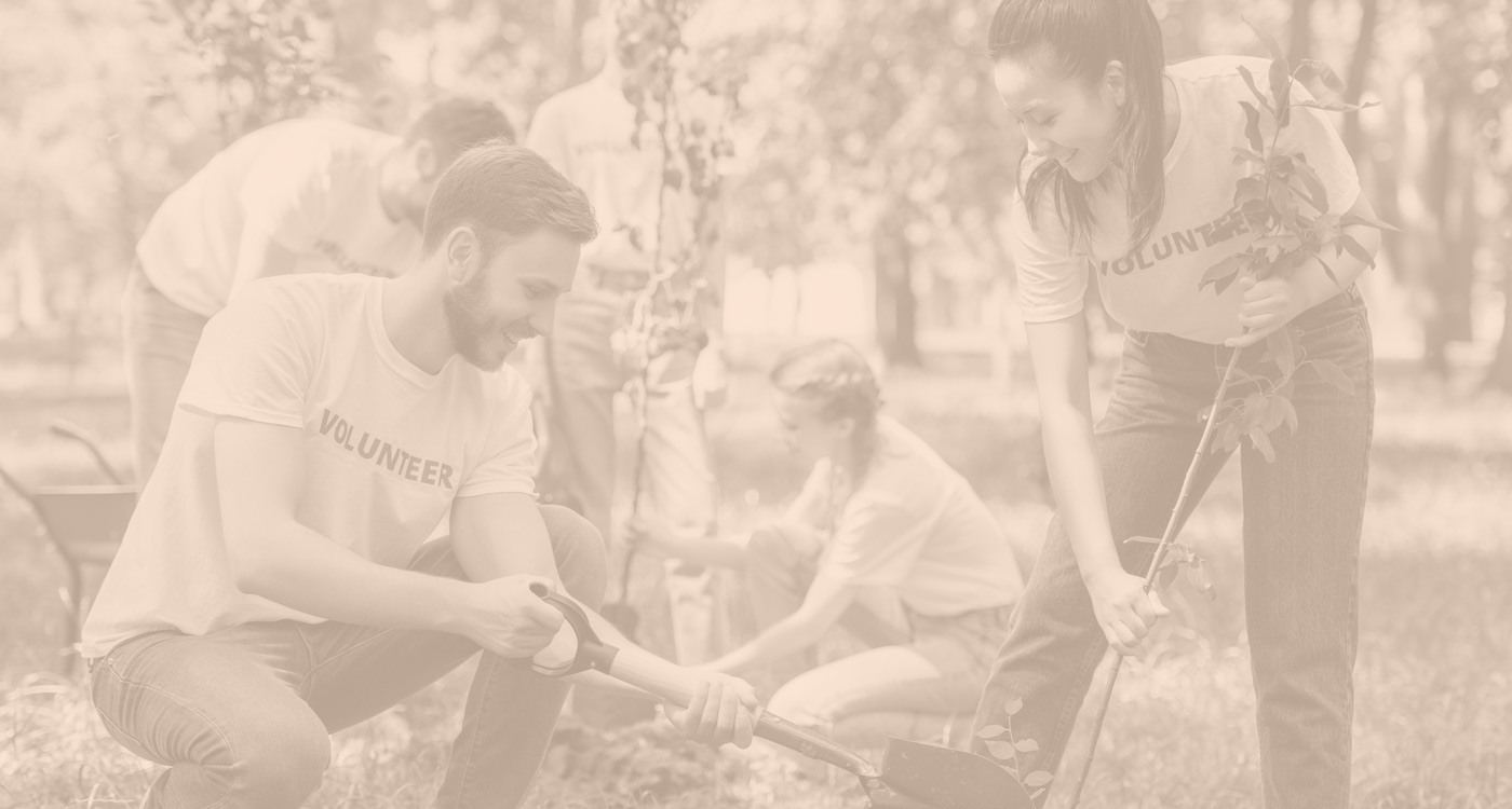 What Makes a Strong Nonprofit Brand? - Odvant Creative